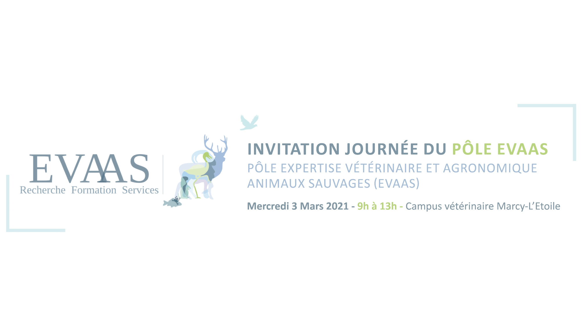 Journée du pôle EVAAS - EVAAS
